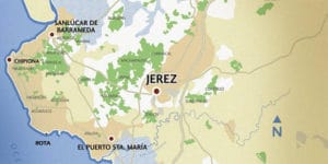 Sherry types: dry and sweet styles | SherryNotes