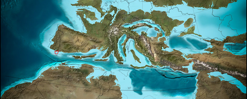 Types of albariza: Barajuela, Antehojuela, Tosca Cerrada...