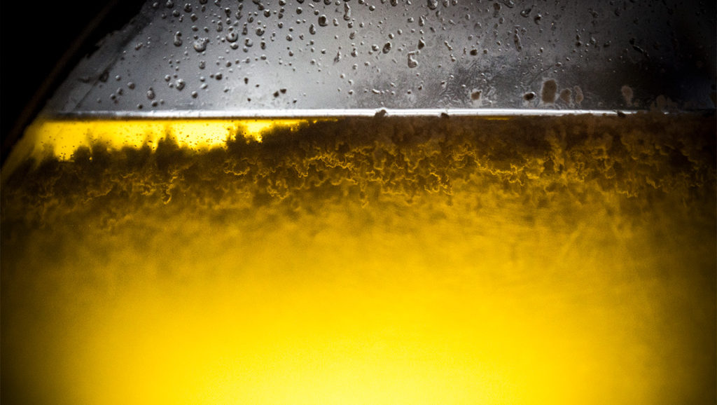 Flor, the mystery of sherry | SherryNotes