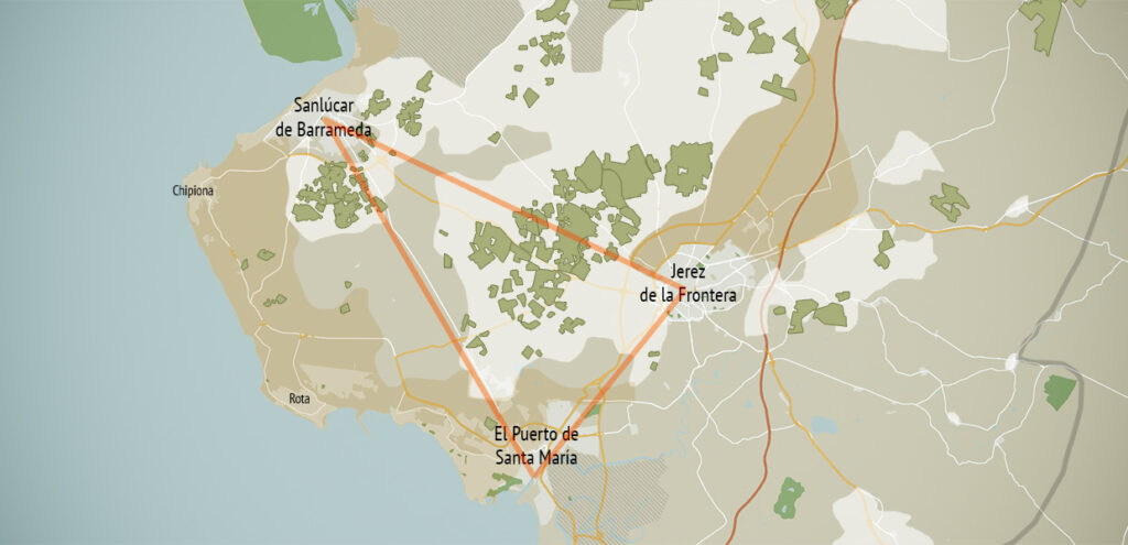 New regulations for sherry in the D.O. Jerez-Xérès-Sherry