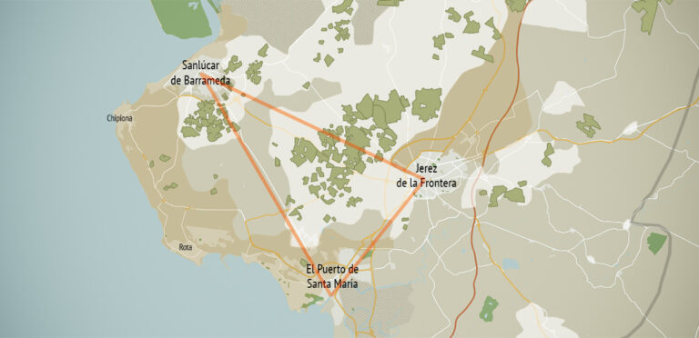 New regulations for sherry in the D.O. Jerez-Xérès-Sherry