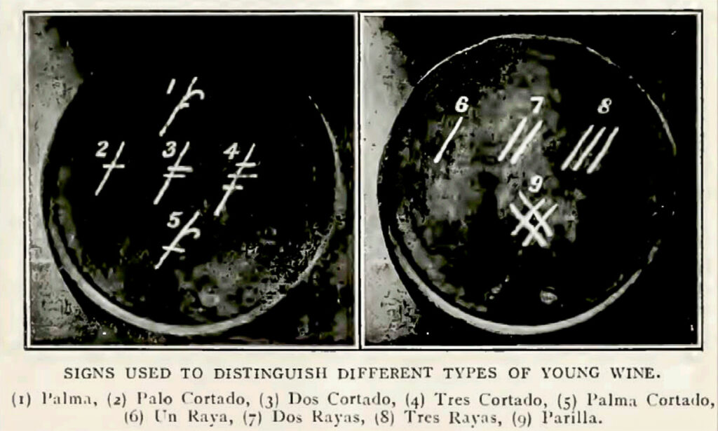 Ancient sherry typology explained: Palma, Cortada, Raya...