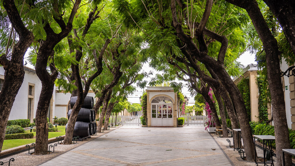Visiting Bodegas Osborne: tour and pictures | SherryNotes